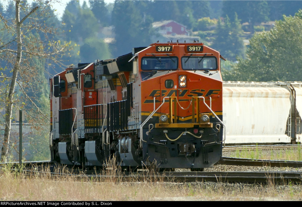 BNSF 3917 SPOEVE